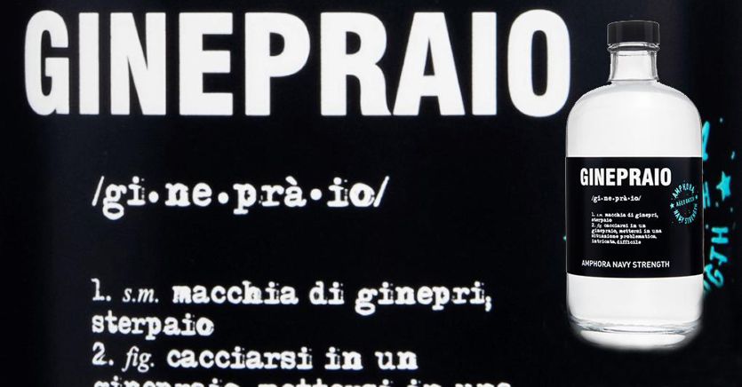 Ginepraio, gin toscano biologico affinato in anfore di cocciopesto - Il ...