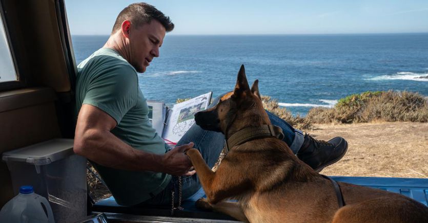 «Hope», un dramma di coppia con due grandi attori - Il Sole 24 ORE