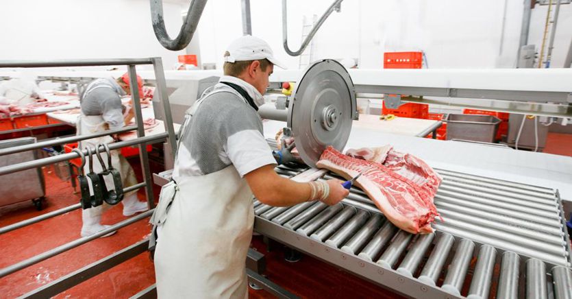 Sostenibilità strategica per il 30% della filiera della carne e dei ...