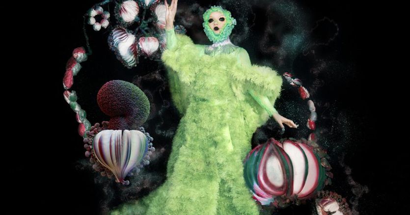 Il ritorno a casa di Björk - Il Sole 24 ORE
