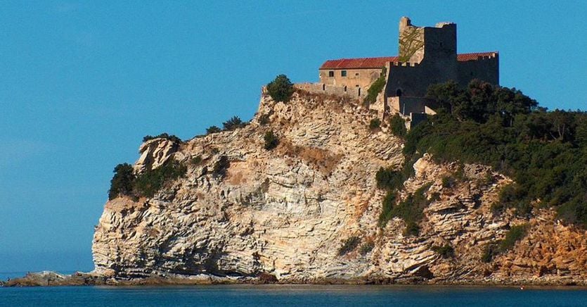 La Palomar di Roccamare nella pineta e il selvaggio Tirreno a ...