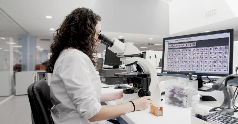 A Francoforte Vola Synlab Il Socio Di Controllo Cinven Valuta Opa Il Sole 24 ORE a-francoforte-vola-synlab-il-socio-di-controllo-cinven-valuta-opa-il-sole-24-ore
