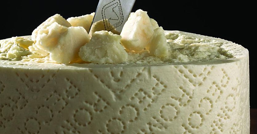 Quotazioni record ed export: «momento d’oro» per il Pecorino Romano Dop ...