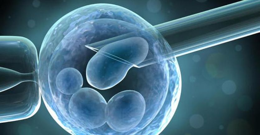 Creati embrioni sintetici umani a partire da cellule staminali - Il ... Creati embrioni sintetici umani a partire da cellule staminali - Il ...