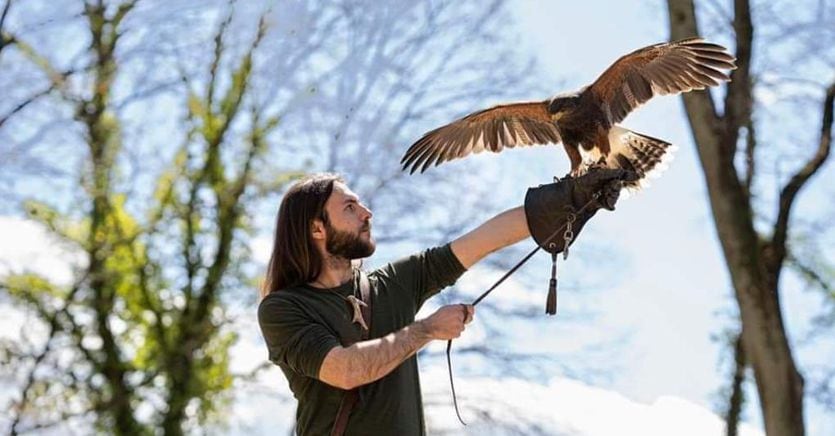 Lazio - Falconiere per un giorno in provincia di Frosinone - Il Sole 24 ORE