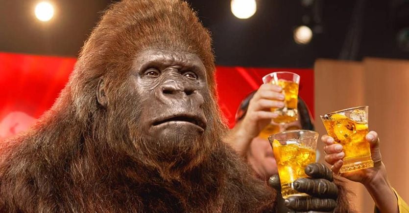 Crodo saluta il Crodino ma accelera con soft ed energy drink - Il Sole ...