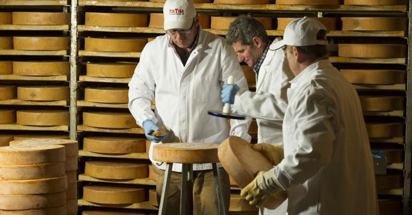 Fontina, vale oltre 42 milioni l’oro bianco della Valle d’Aosta - Il ...