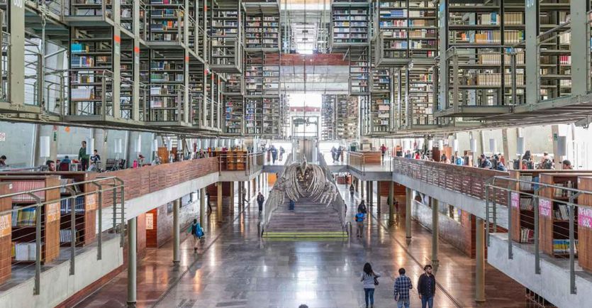 Via al data-base di Cimea per favorire la mobilità degli studenti ...