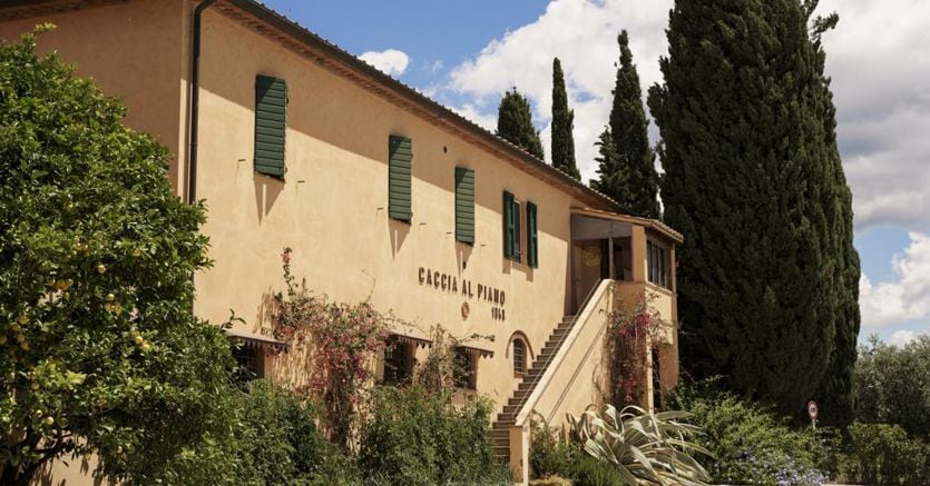 I primi 20 anni della famiglia Ziliani a Bolgheri: ora inizia una nuova ...