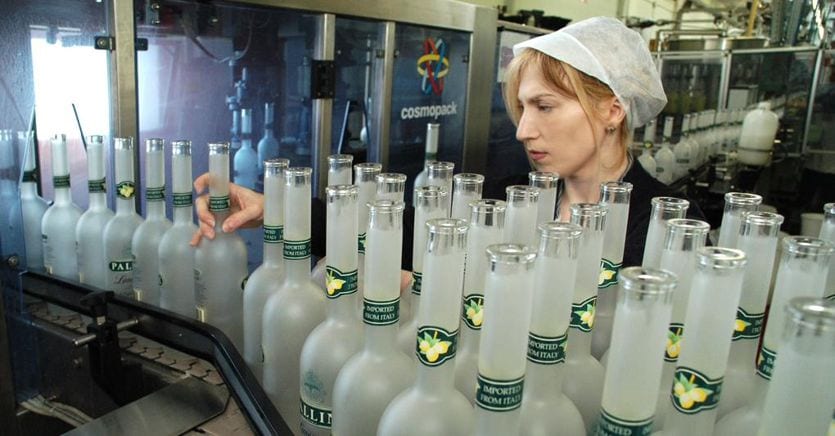 Pallini supera i 20 milioni di euro di fatturato, traino dall’export ...
