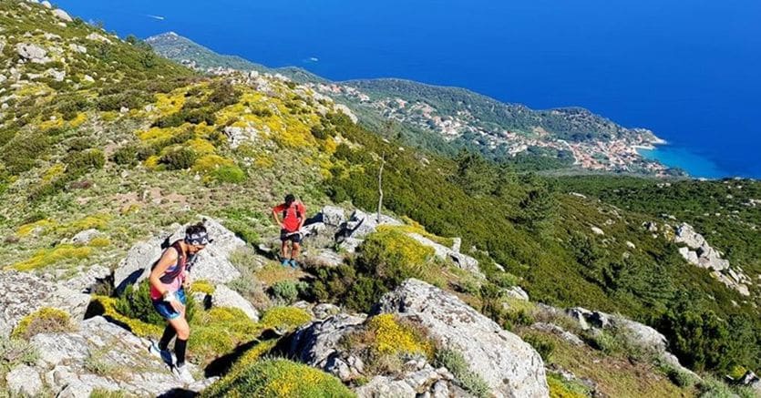 Isola d’Elba. Lungo sentieri panoramici - Il Sole 24 ORE