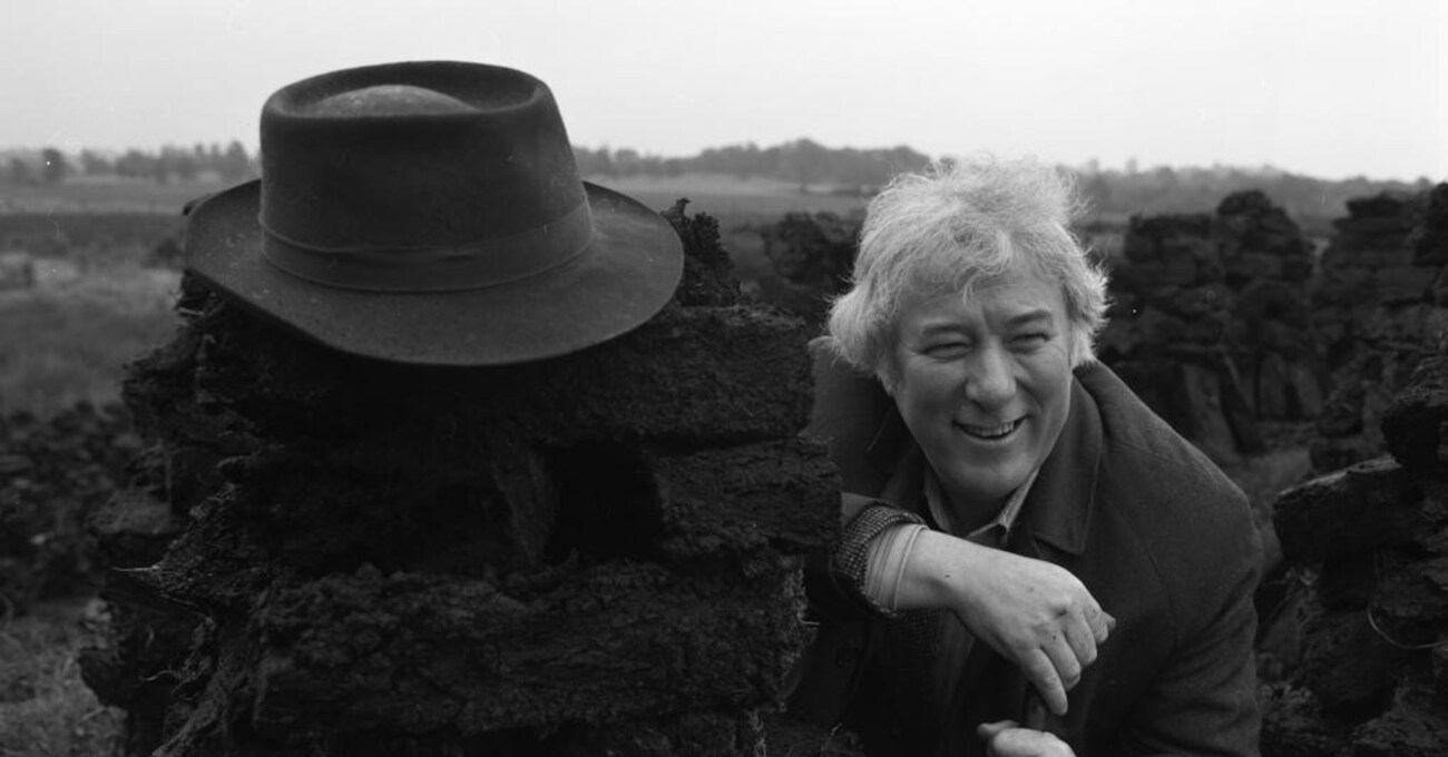 Seamus Heaney di profilo - Il Sole 24 ORE