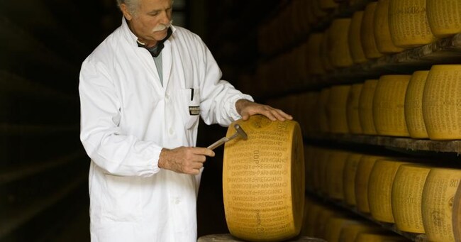 Nuova Castelli investe 10 milioni sulle fabbriche italiane di formaggi ...