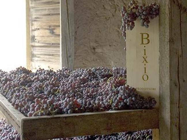 L’eredità di Nino Bixio nei vini della Doc Arcole - Il Sole 24 ORE