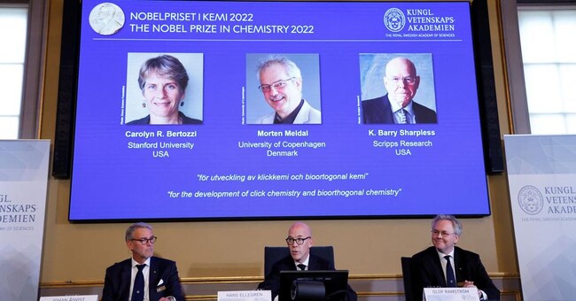 Nobel per la chimica a Bertozzi, Meldal e Sharpless per la «chimica a ...