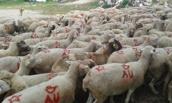 Viaggio nel vero borgo di “Un mondo a parte”: ecco come si resiste allo ...