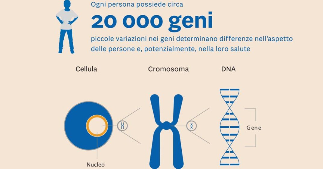 Terapia genica / Cosa sono i geni? - Il Sole 24 ORE