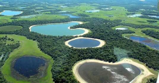 Il Pantanal, santuario della fauna selvatica - Il Sole 24 ORE
