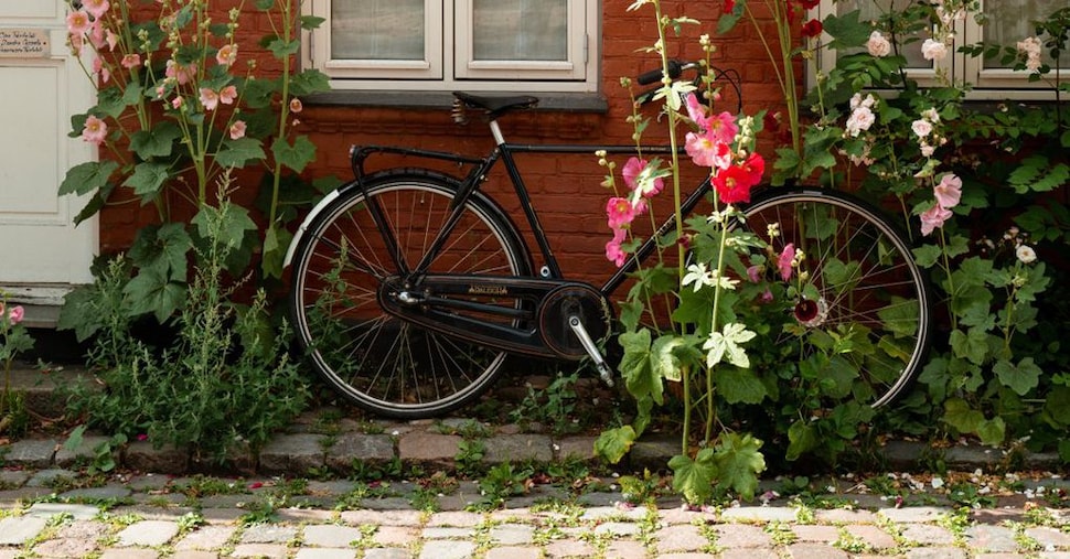 Landscapes, experiences and discoveries in green Denmark - Il Sole 24 ORE