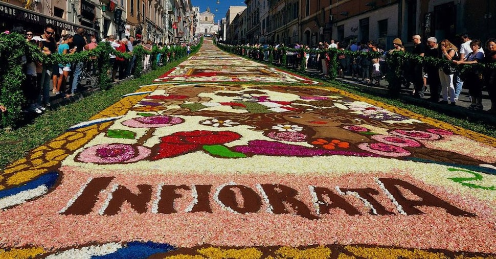 Valle di Noto tra profumo di margherite, gerbere e rose per la bella ...