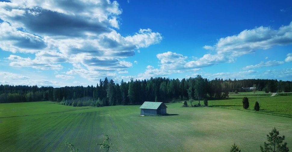Nature, rituals, colours: a journey into the heart of the Finnish ...