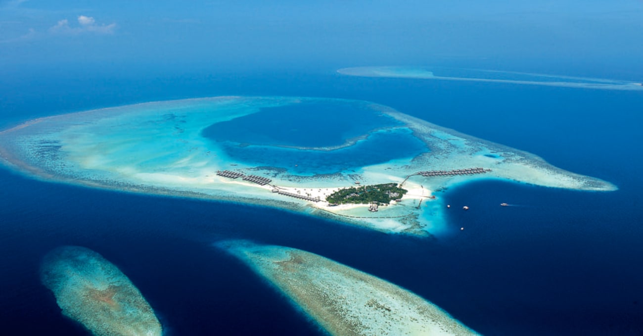 Constance Moofushi e Constance Ephelia: entra nel dipinto di Madre ...