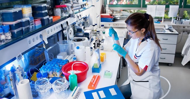 Rome Technopole al via Dopo l’estate partono i primi laboratori - Il ...