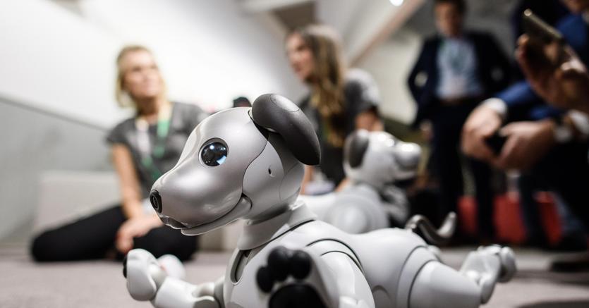 Ifa 2018: Aimo, il cucciolo robot della Sony arriva in Europa - Il Sole ...