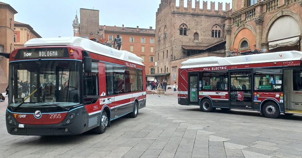 «Autobus, per il rinnovo delle flotte è urgente pensare al dopo Pnrr ...
