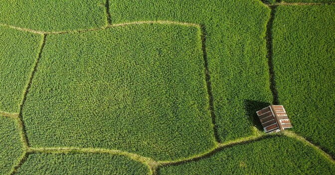 Regime speciale, ordinario e di esonero: acconto Iva a tre vie per gli ...