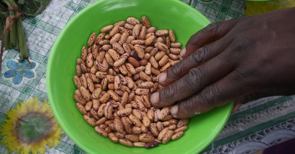 Fao: Africa sempre più assediata dalla fame - Il Sole 24 ORE