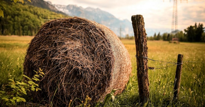 Affitto del fondo rustico, più vincoli nel contratto ma imposta di ...