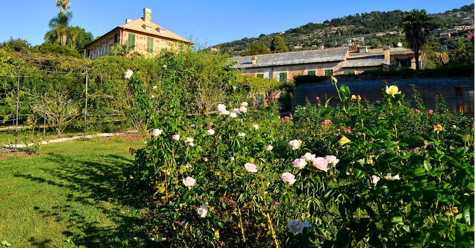 Gap verde per le città italiane - Il Sole 24 ORE