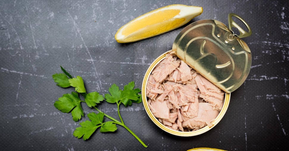 Canned tuna contaminated with mercury: NGO alarm - Il Sole 24 ORE