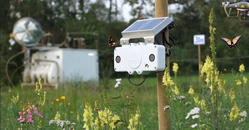 3Bee vola con la tecnologia per monitorare il benessere delle api e del ...