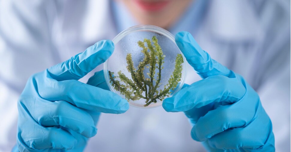 Fondi, nel 2025 consolidamento negli investimenti in scienze della vita - Il Sole 24 ORE