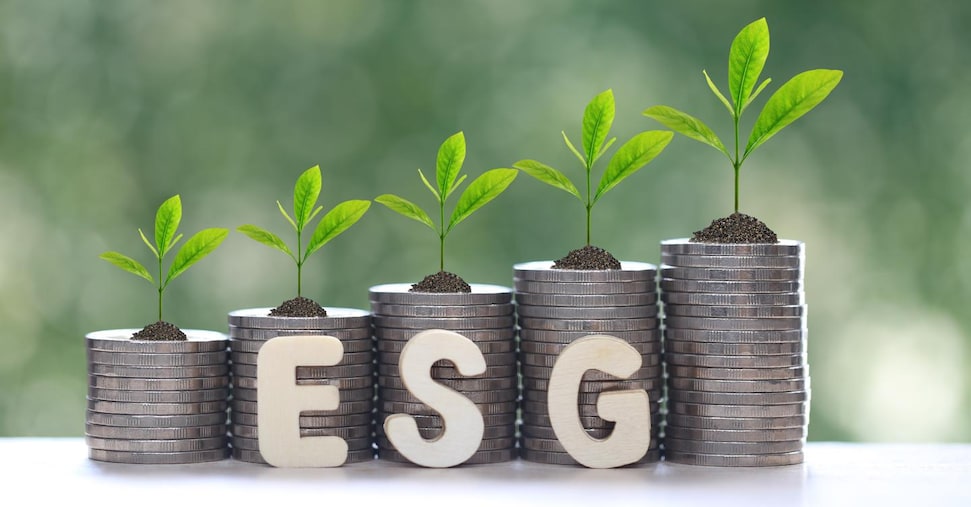 Osservatorio Esg, ecco le aziende che vincono in governance e in Borsa ...