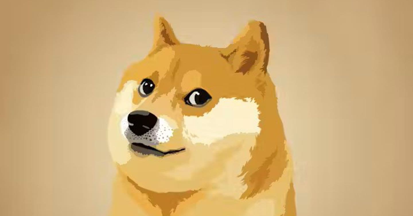 doge idr