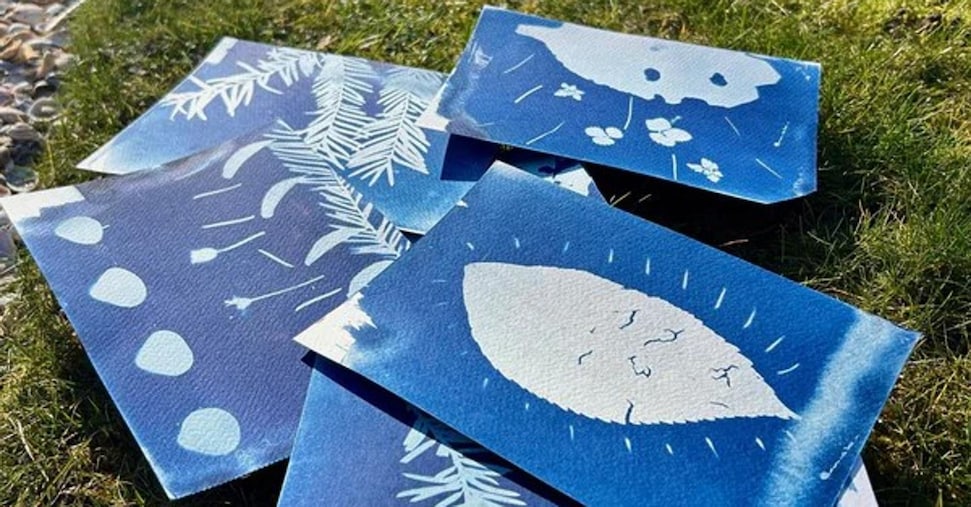 Anne Geene per un viaggio contemporaneo nella natura - Il Sole 24 ORE