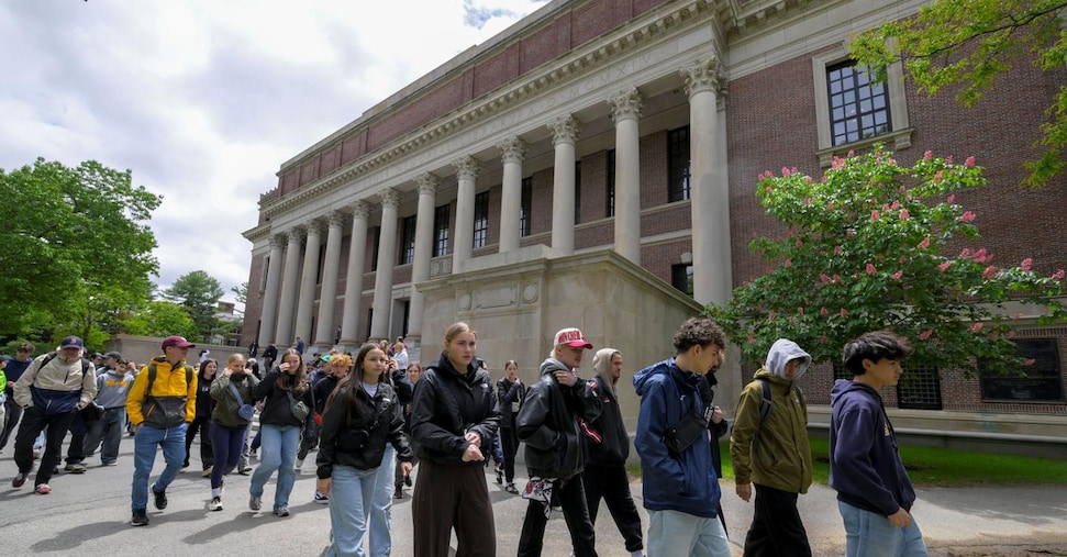 Harvard revokes Italian professor Francesca Gino's professorship for ...