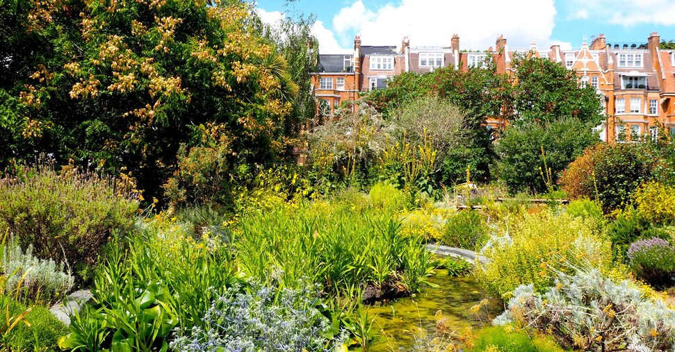Tappa al Chelsea Physic Garden tra serre antiche e freschi felci - Il ...