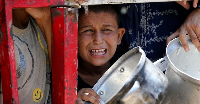 Mass famine in Gaza, the denunciation of 111 ngos and the Oms. UN ...