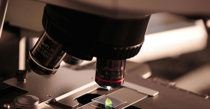 Bokep maduras if you prefer your girl with nice curves and