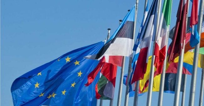 Pirickili nude kim had been on my radar for quite a bit.