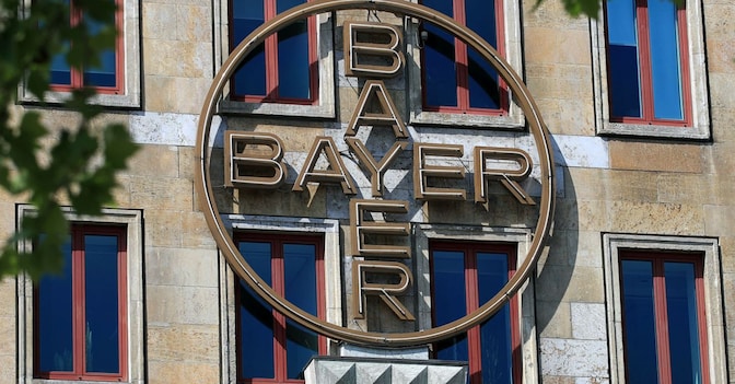 bayer construct