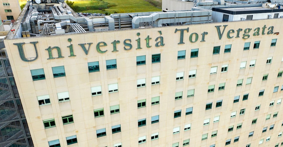 Medicine, chaos over the Tirana campus. Bernini: 'Tor Vergata is wrong ...