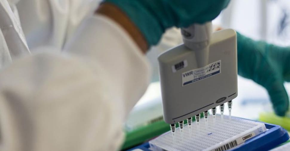 Rare diseases, Italian discovery of a possible cure for severe forms of ...