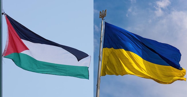 Reception of Palestinian students becomes a case, Mim: same format ...