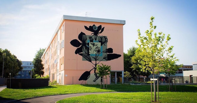 Among the Lunetta murals - Il Sole 24 ORE