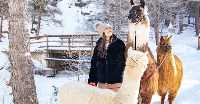 Nel “Piccolo Tibet” per regalarsi benessere e neve in libertà - Il Sole ...